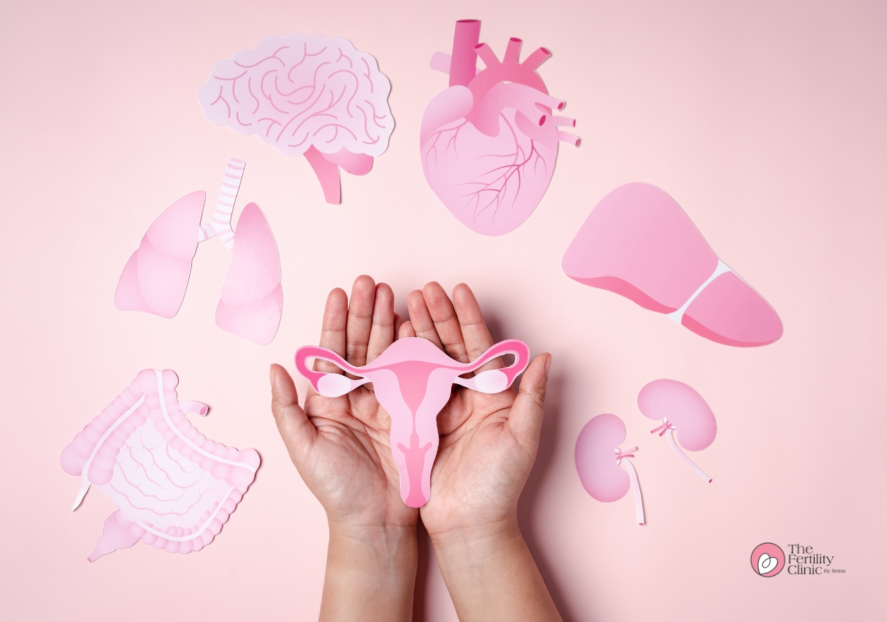 Female infertility - The Fertility Clinic